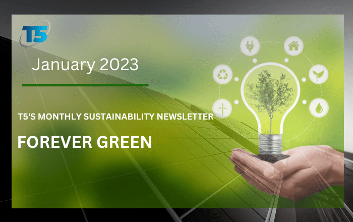 FOREVER GREEN Newsletter January Edition | Newsletter